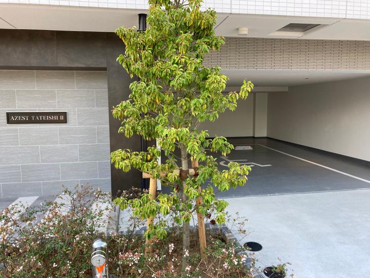 AZEST立石II駐車場（月極駐車場）|東京都葛飾区立石2-33-1 付近（PK000044754）|屋根（あり）|平置き（舗装【あり】）詳細|Park Direct（パークダイレクト）